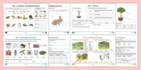 Science: Everyday Materials: Year 1 Assessment Test