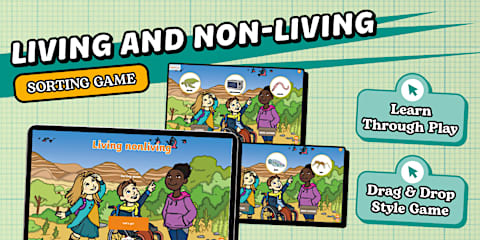 Alive, Once Alive, Never Alive Sorting Game