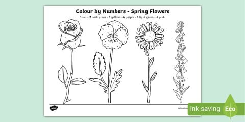 Rose Flower Dot to Dot with Numbers 1-20