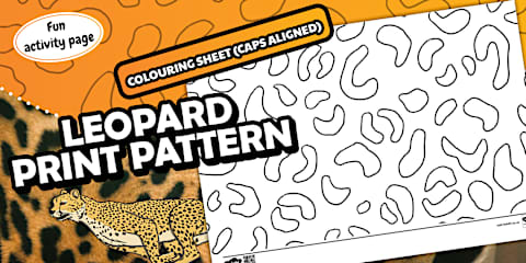 Foundation Phase Life Skills - Day of Reconciliation - Greetings Card ...