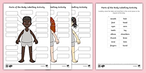 I Can Label My Body Cut and Paste Worksheet