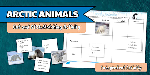 Label the Arctic Animals Differentiated Worksheet for K-2nd Grade