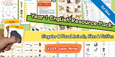 Singular and Plural Nouns Posters