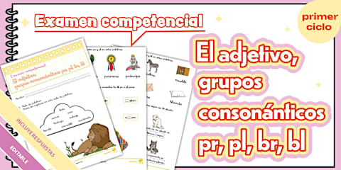 Sorting Beginning Consonant Blends 'bl', 'pl' Cut-Outs