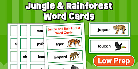 Rainforest Animals Gross Motor Activity Cards