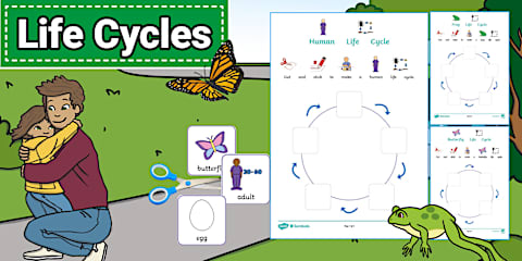 Science: Animals Including Humans: Life Cycles Year 2 Lesson 2
