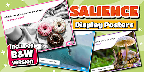 Elements of Visual Literacy Posters