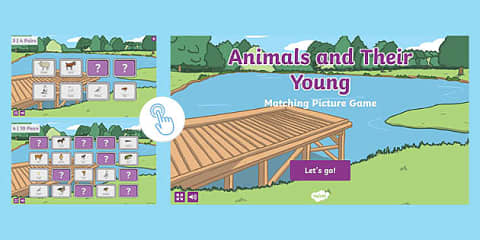 Animals and Their Babies Interactive Matching Game