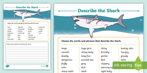 Parts of a Shark Labelling Worksheet | Shark Diagram
