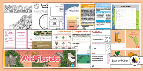 All About Florida Trace & Color Printable Book for K-1st Grade