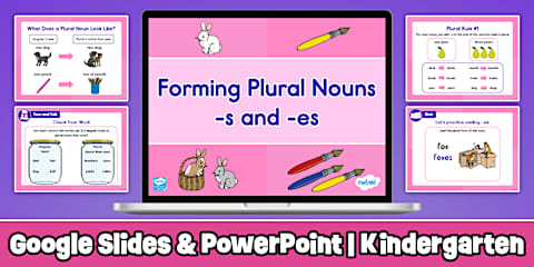 First Grade Summer Singular and Plural Nouns Worksheet