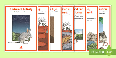 Australian Eucalyptus Plant Adaptations Fact File