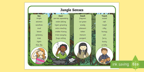 Rainforest Senses Mind Map
