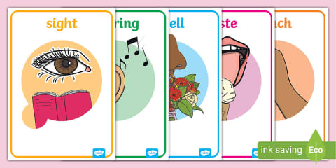 Hearing Vocabulary Display Poster