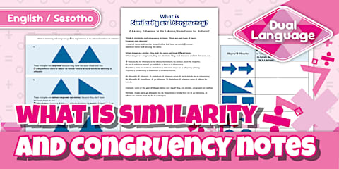 Grade 7 Maths - Term 3 - Match the 3D Object Nets Worksheet - Sesotho ...