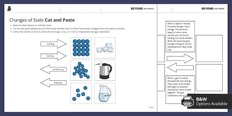 States of Matter Display Posters