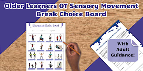 OT: Sonic Sensory Circuits