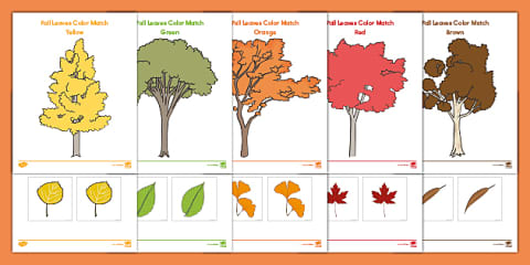 Leaves Color and Roll Worksheet