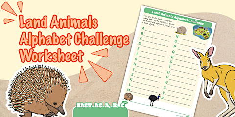 Comparing Night and Day in the Bush Worksheet