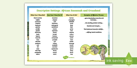 Describe the African Savanna Worksheet