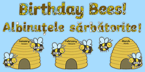 Birthday Bees Display Pack Spanish Translation