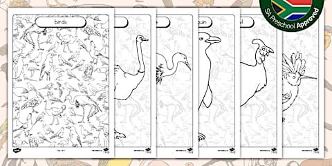 Preschool: Birds - Count and Colour Activity Sheet