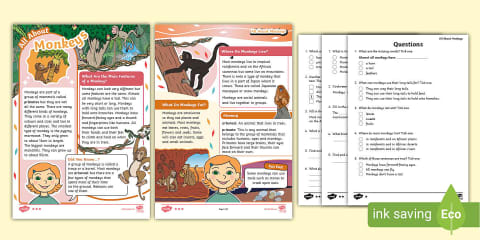 Adaptations of a Spider Monkey Display Poster