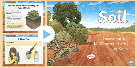 Label and Color the Soil Differentiated Worksheet for K-2nd Grade