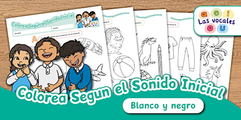 Guía de Trabajo: Lista de Cotejo de Mapa Esquemático