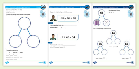 Year 2 Diving into Mastery: Step 8 Write Numbers to 100 in Expanded ...