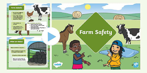 Farm Safety Game