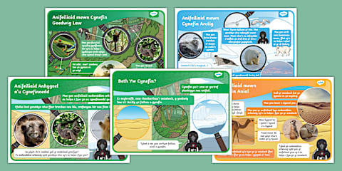 Poster Arddangos Map y Byd yn Dangos Cynefinoedd Anifeiliaid