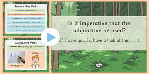 Identifying the Subjunctive Mood Worksheet