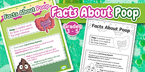 Fifth Grade Farts Fact File and Vocabulary Questions