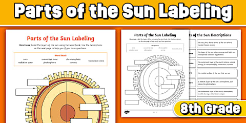 Colour by Parts of the Parrot Worksheet