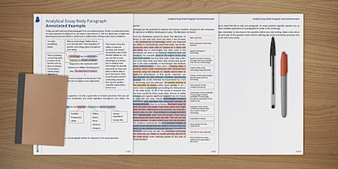 PEEEL/TEEEL Paragraph Structure Poster - Beyond English