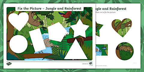 Rainforest Animals Sorting Worksheet