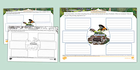 Insect and Human Life Cycle Comparison Mind Map