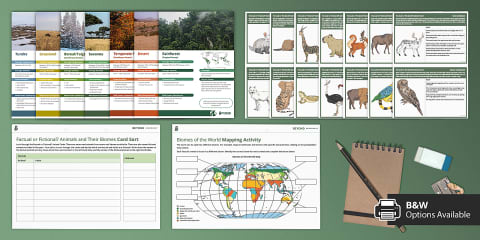 Geography Main Idea with Details Note Taking Format