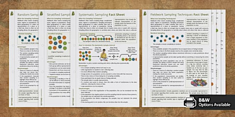 KS2 Geography Data Collection Templates
