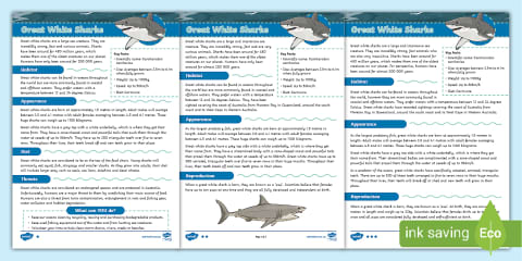 Sharks Reading Comprehension Activity