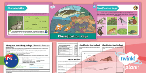 Classification Keys PowerPoint Differentiated Lesson Teaching Pack