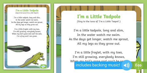 Frog Life Cycle Song