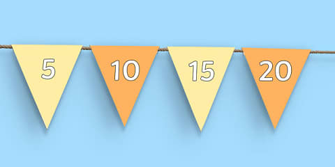 Counting in 2, 5 and 10 Display Bunting