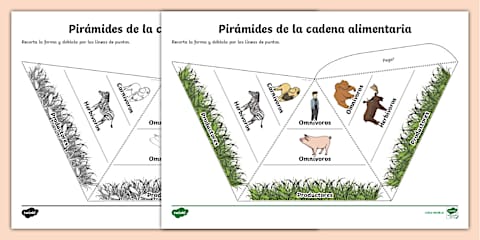 Sopa de Letras Cadenas Alimentarias