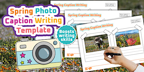 Foundation Phase Home Language - Complete the Wild Animal Sentences ...