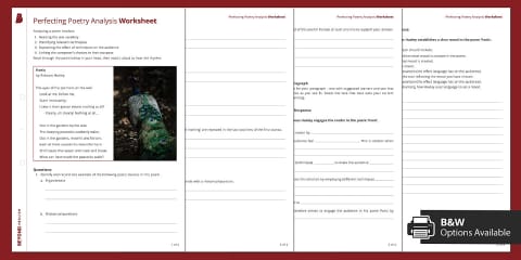 TEEL Paragraph Example A4 Display Poster