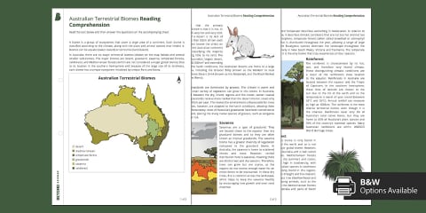 Biomes Unit Glossary Activity