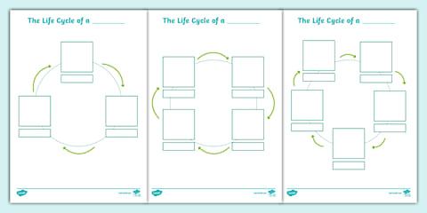Life Cycle Templates for K-2nd Grade