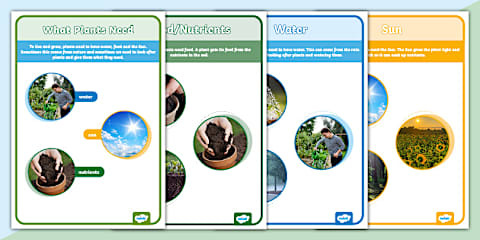 Plant Parts and Plant Needs Interactive Sorting Game